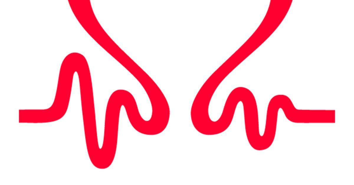 British Heart Foundation – National Voices